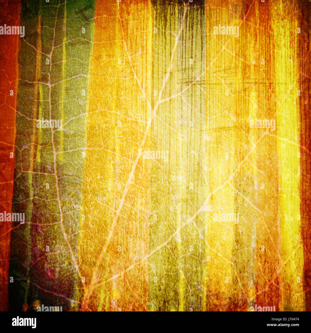 beautiful beauteously nice leaf colour model design project concept ...