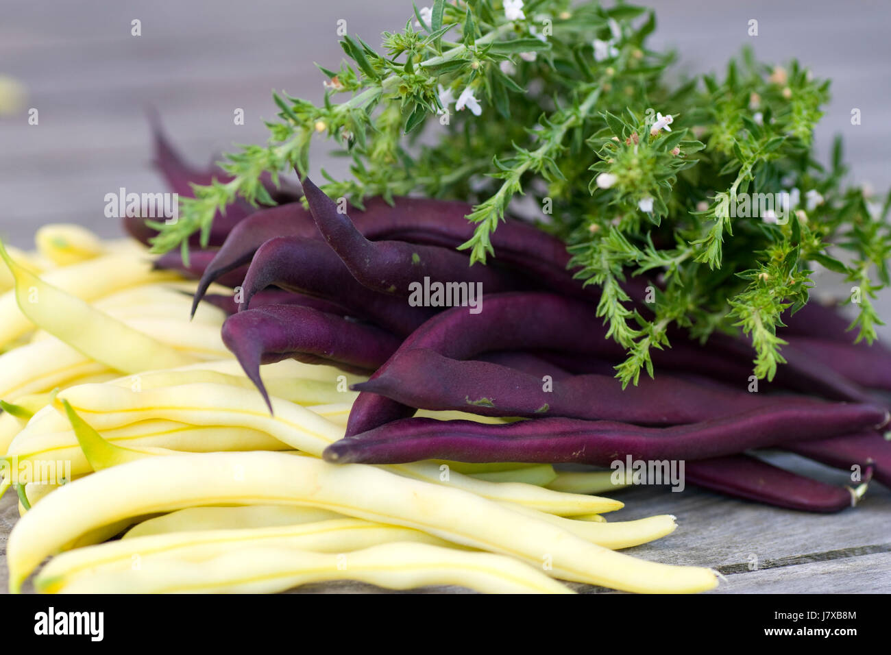 beans vegetable leguminous plants runner beans savory bean herbs yellow ...