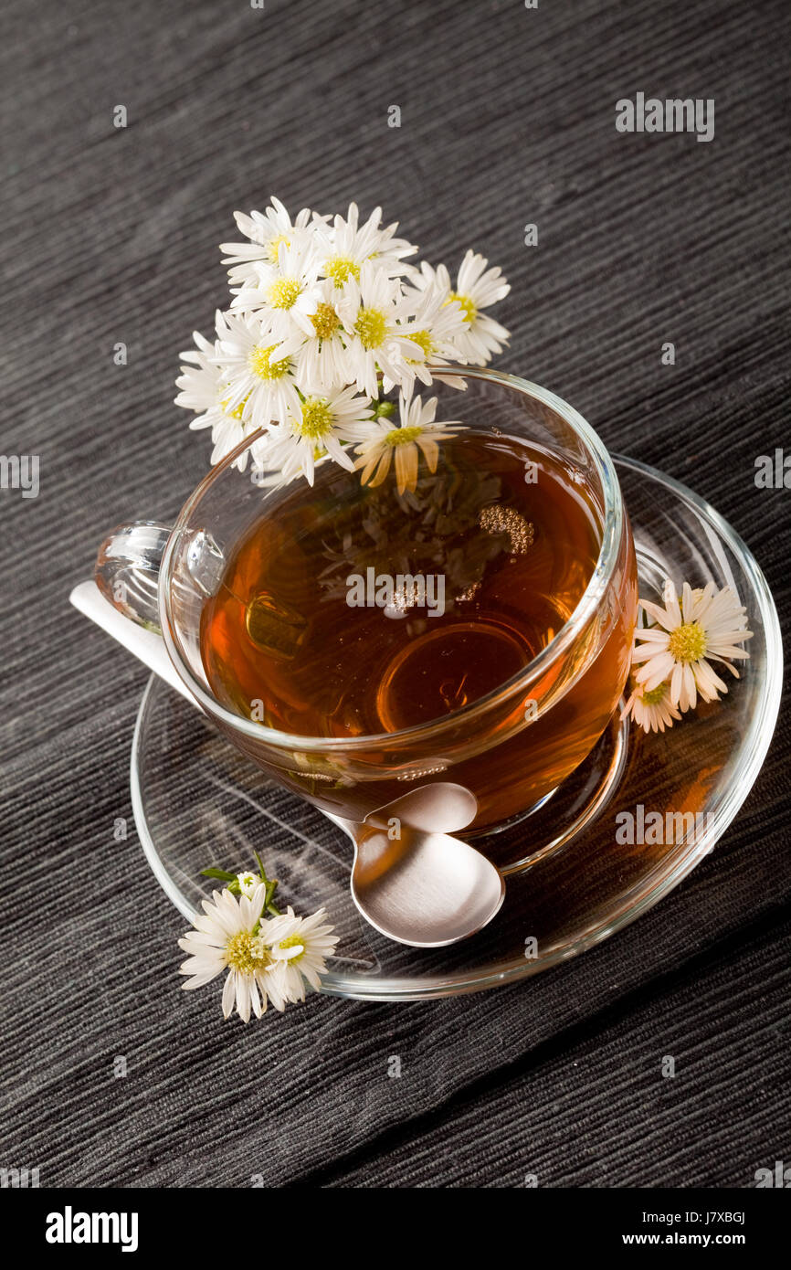 tea liquid marguerite beverage warm meadow grass lawn green teaspoon ...