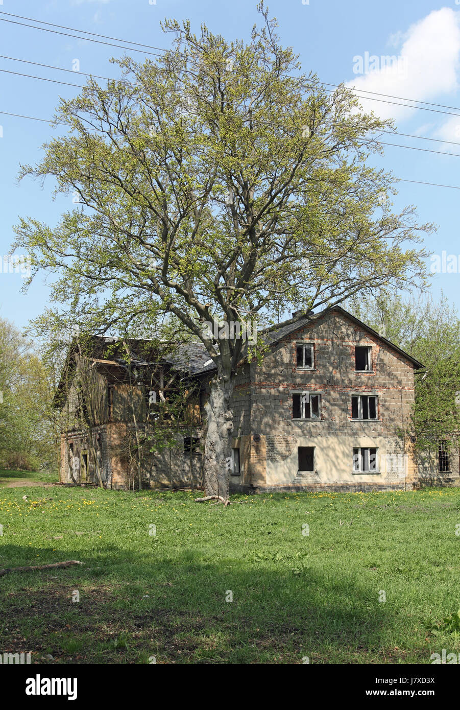 house building tree blank uninhabited nature buildings green window ...