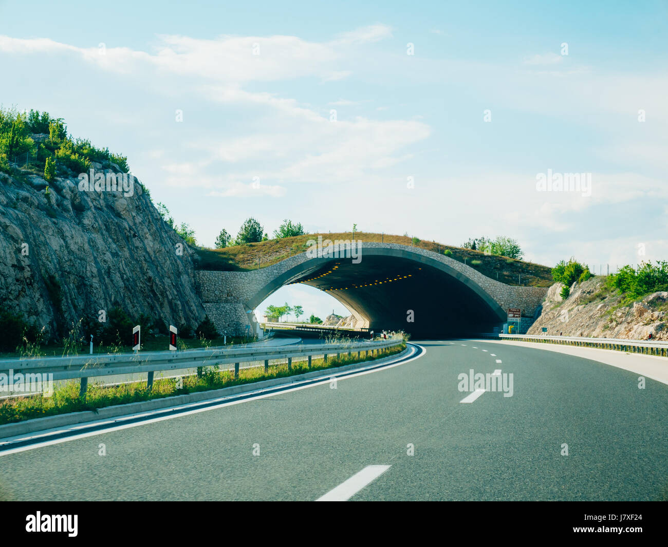 Bridge for animals on the road. Green bridge over the road Stock Photo ...