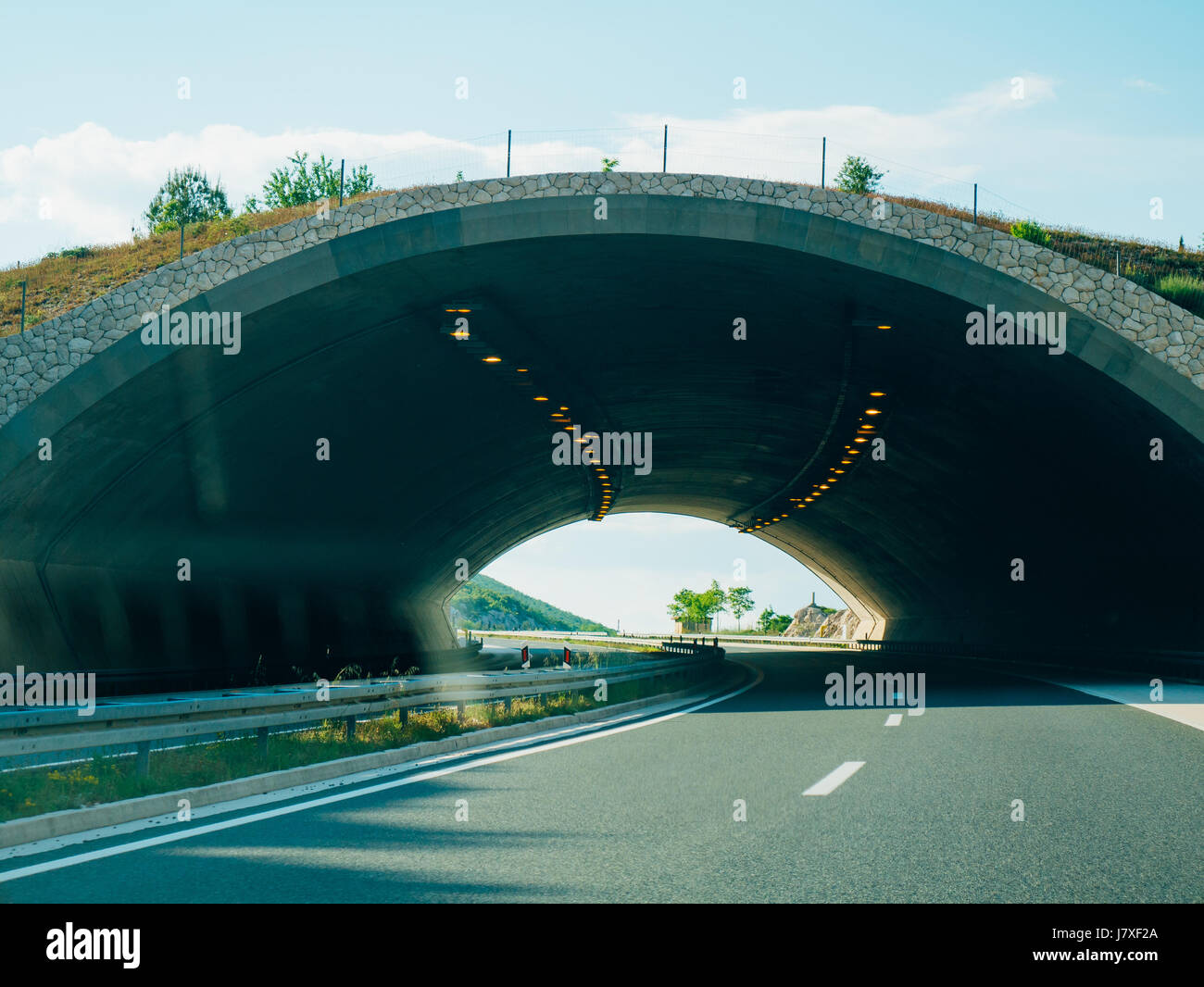 Bridge for animals on the road. Green bridge over the road Stock Photo ...