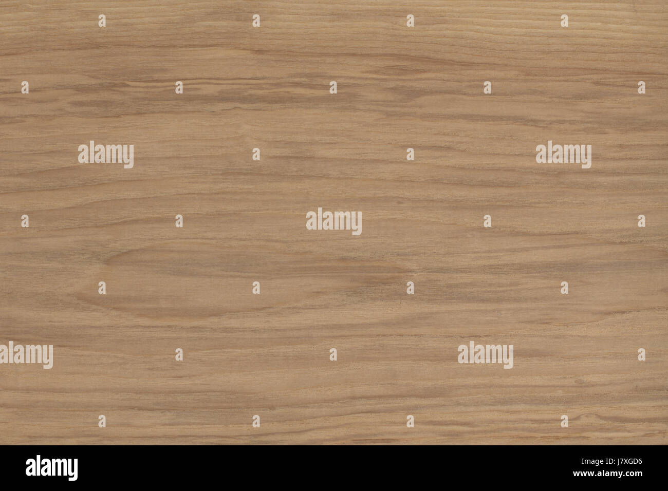 tree wood grain timber abstract wallpaper pattern hardwood plank wooden ...