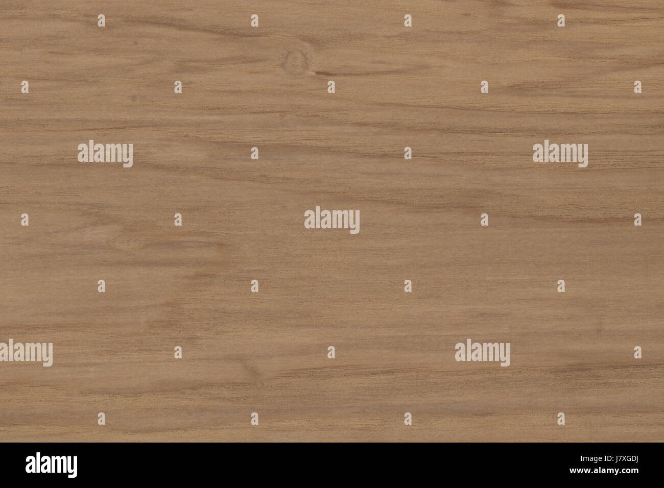 tree wood grain timber abstract wallpaper pattern hardwood plank wooden ...