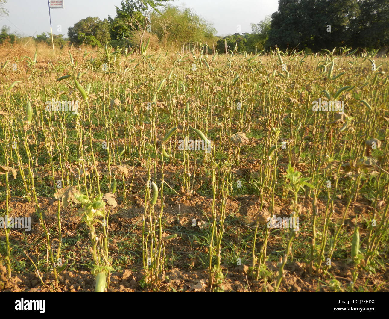 09886 San Rafael Ildefonso Bulacan Municipal Roads Landscapes Barangays ...