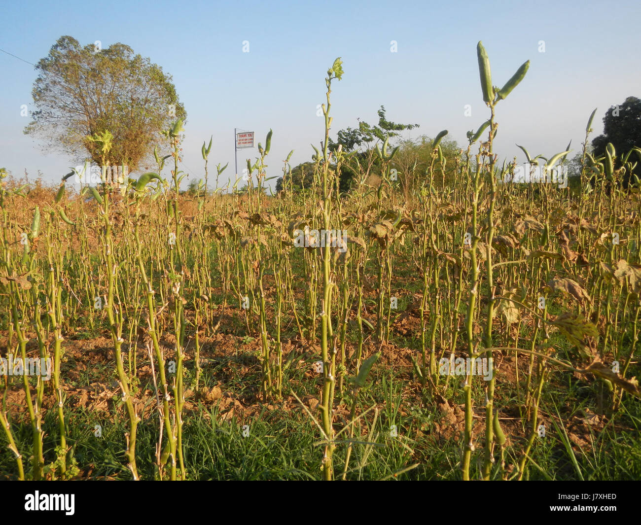 The image depicts municipal roads and landscapes in the San Rafael ...