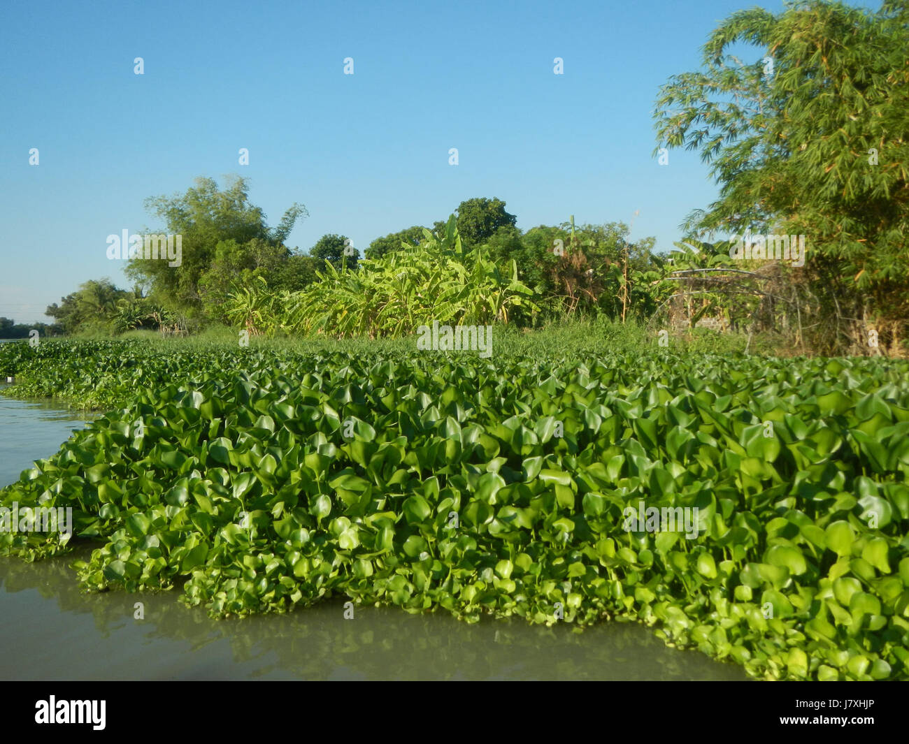 This entry refers to a location in Bulacan, Philippines, highlighting ...