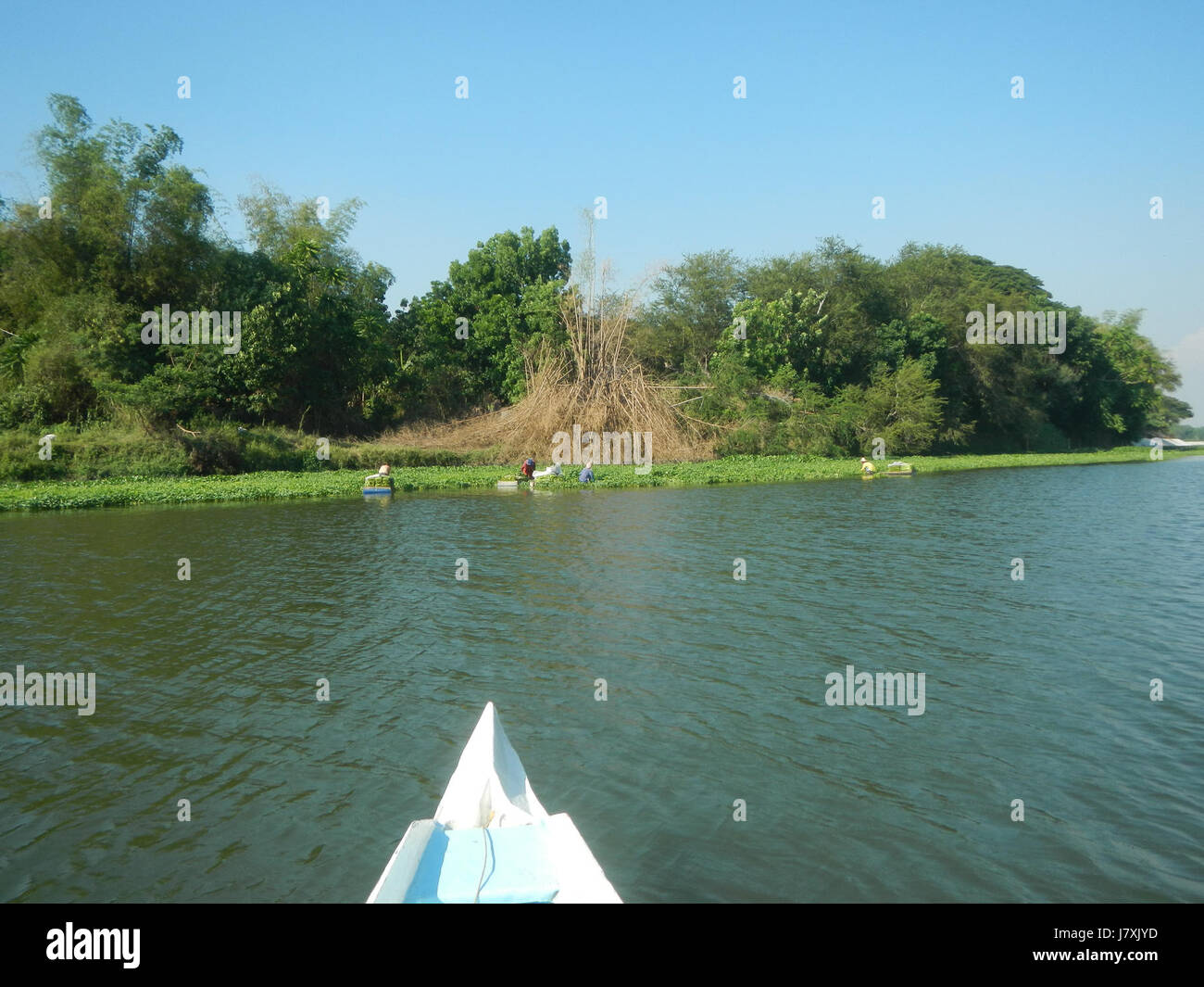 This image shows the natural landscape along the riverbanks in Pulilan ...