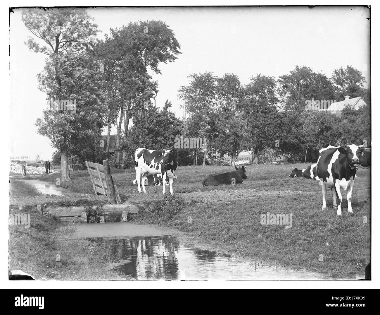 Jacob Olieâ€™s 19th-century photograph of Abcoude showcases the townâ ...