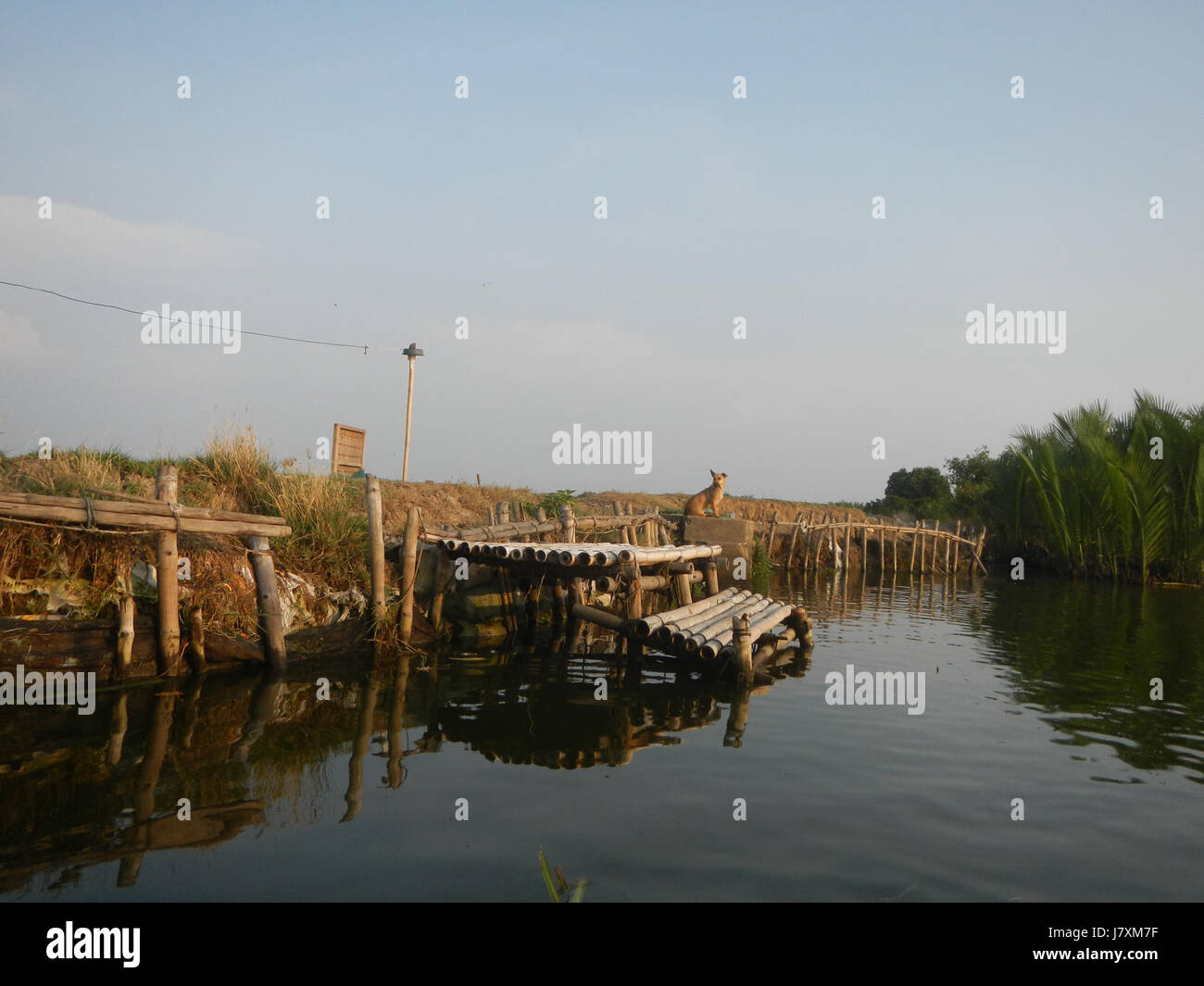 This image shows the riverbanks in the areas of Calero, Malolos, San ...