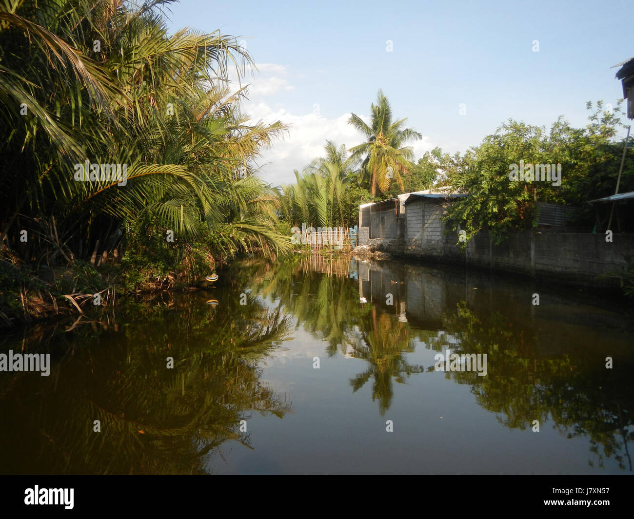 09926 Malolos River Districts City Nipa trees Bulacan Landmarks 03 ...