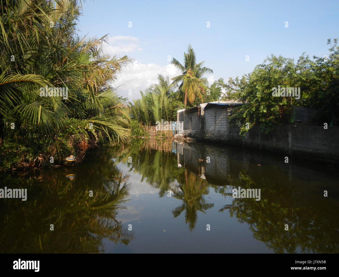 09926 Malolos River Districts City Nipa trees Bulacan Landmarks 04 ...