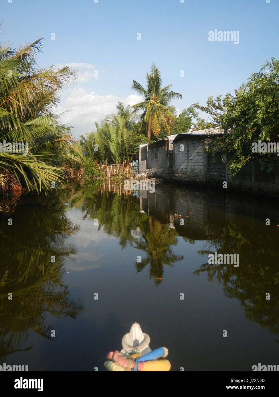 This image shows the Nipa trees along the Malolos River in Bulacan ...