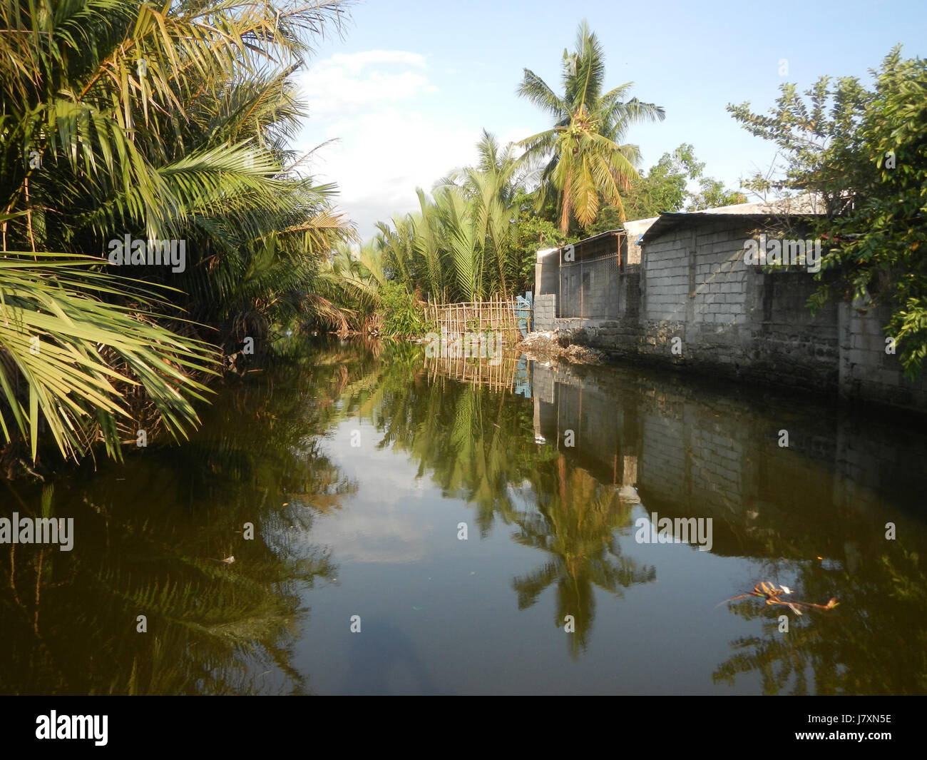 09926 Malolos River Districts City Nipa trees Bulacan Landmarks 06 ...