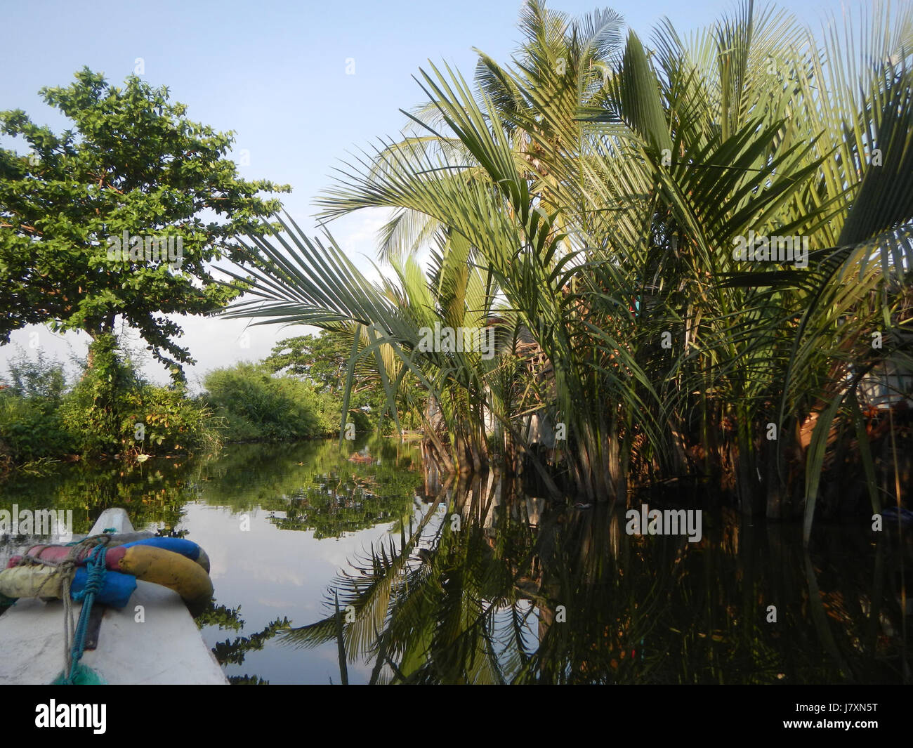09926 Malolos River Districts City Nipa trees Bulacan Landmarks 15 ...