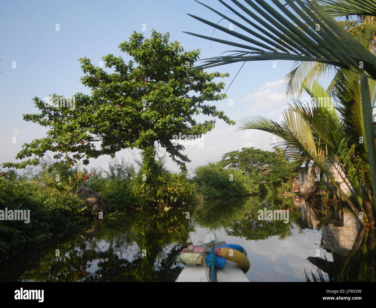 09926 Malolos River Districts City Nipa trees Bulacan Landmarks 16 ...