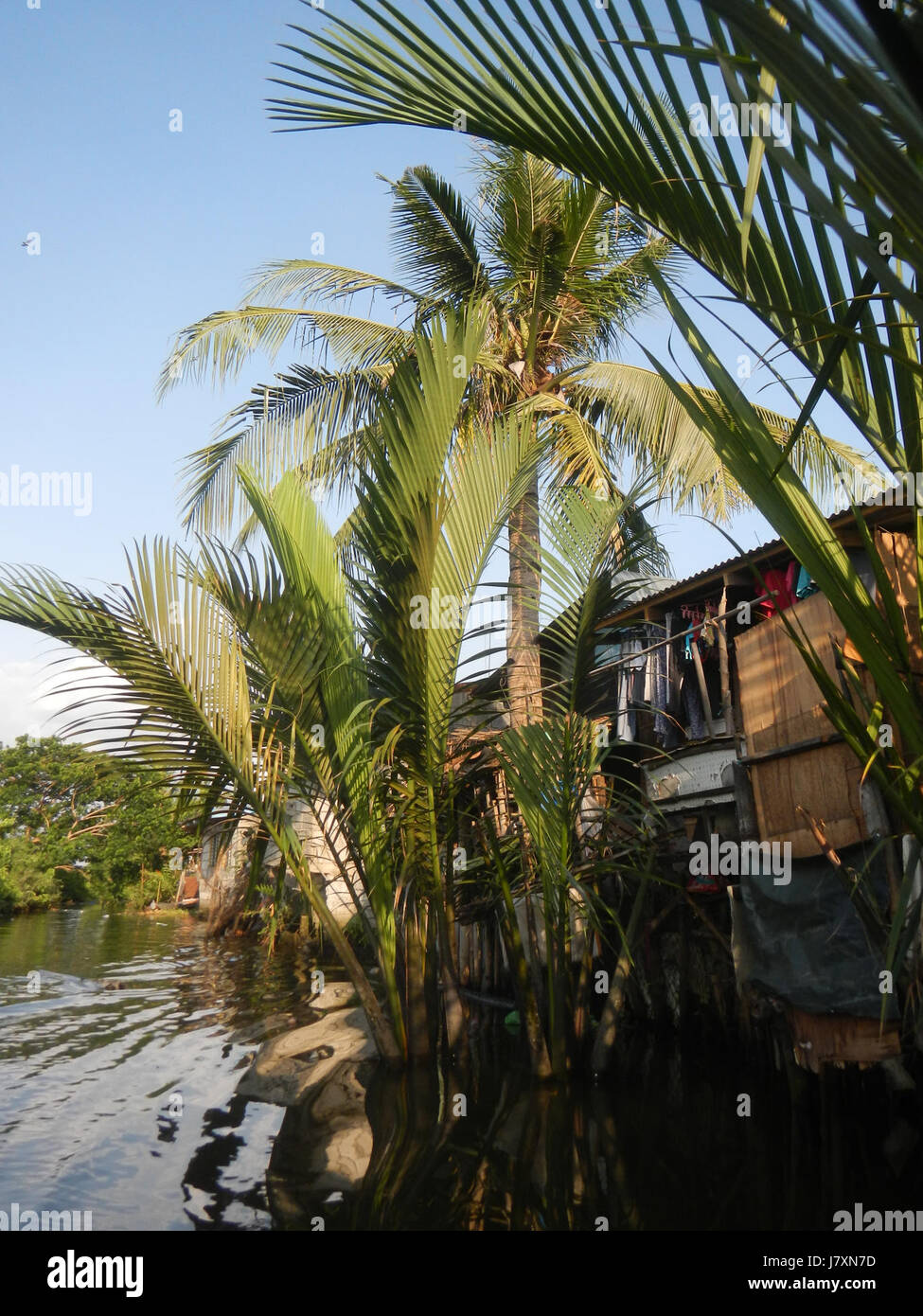 09926 Malolos River Districts City Nipa trees Bulacan Landmarks 45 ...