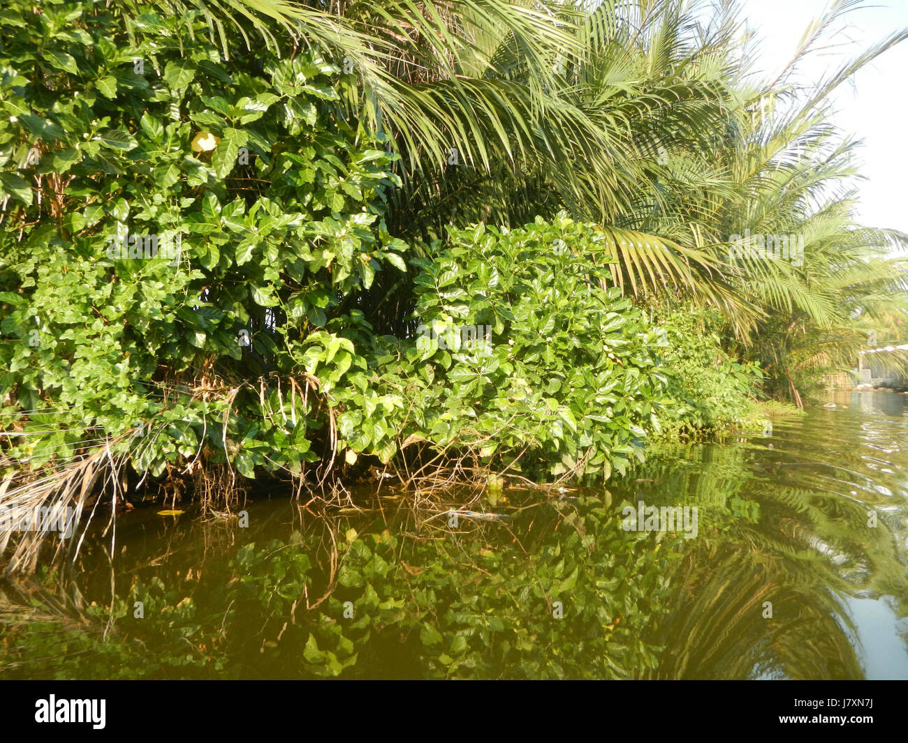 This image shows the Malolos River district in Bulacan, Philippines ...