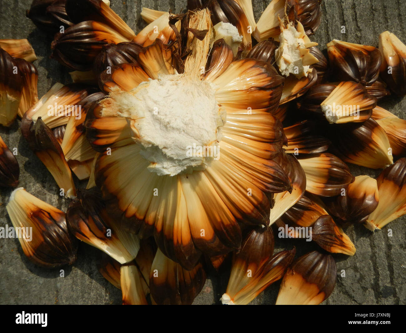 Sustainable coastal economy hi-res stock photography and images - Alamy