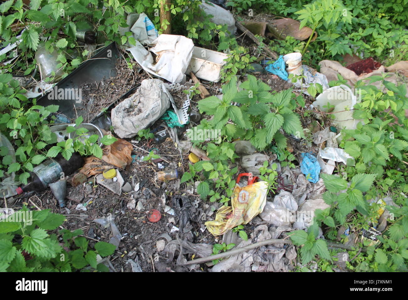 Environmental problem. Garbage dump in the forest Stock Photo - Alamy
