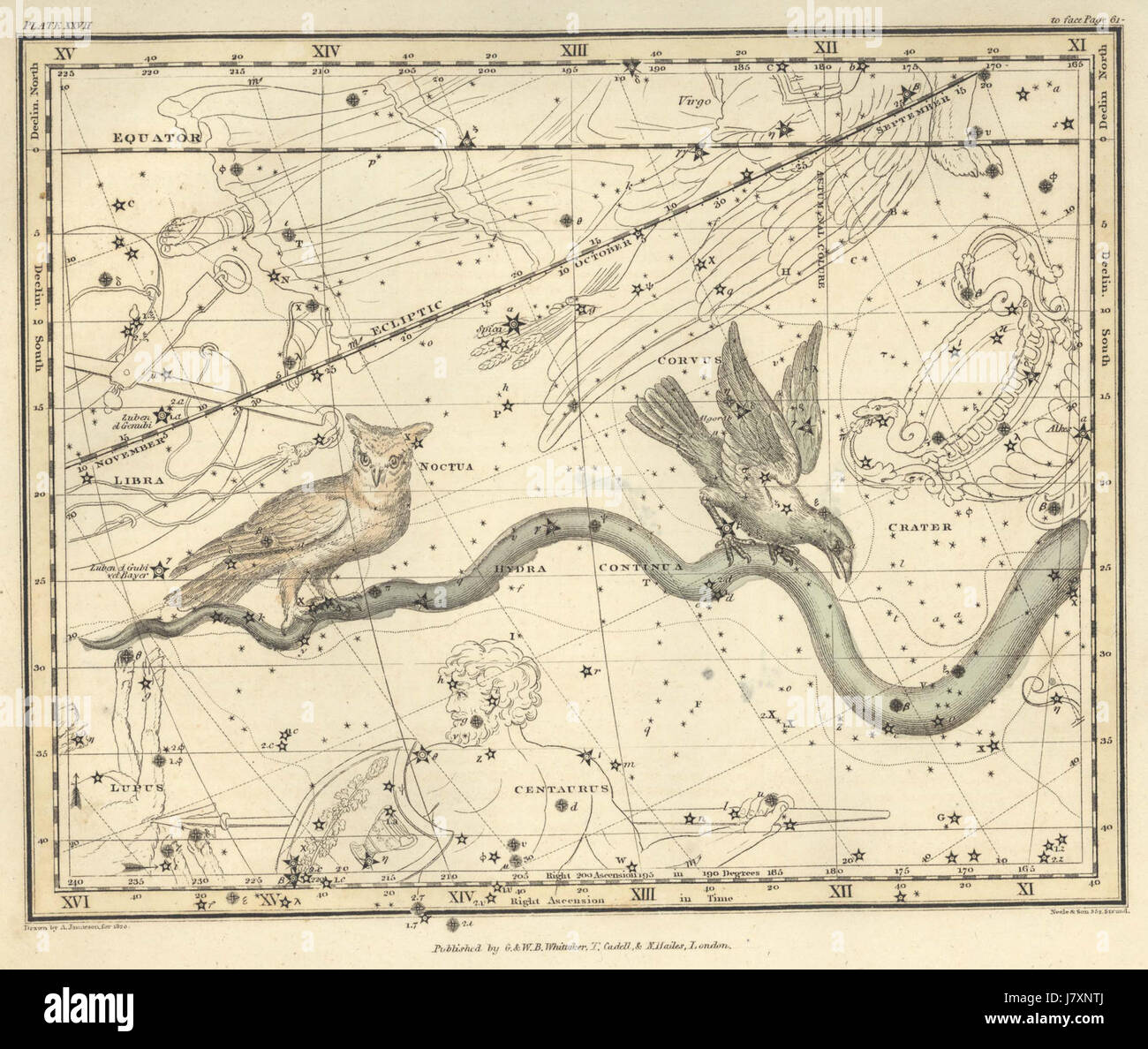 Plate 27 from Alexander Jamieson's Celestial Atlas depicts detailed ...