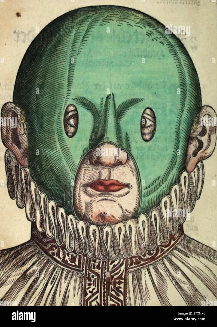 This refers to a colored illustration or engraving from a work by ...