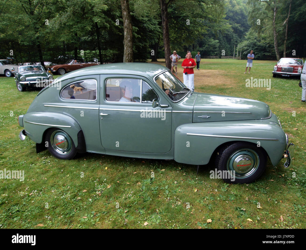 1960 Volvo P544 Stock Photo - Alamy