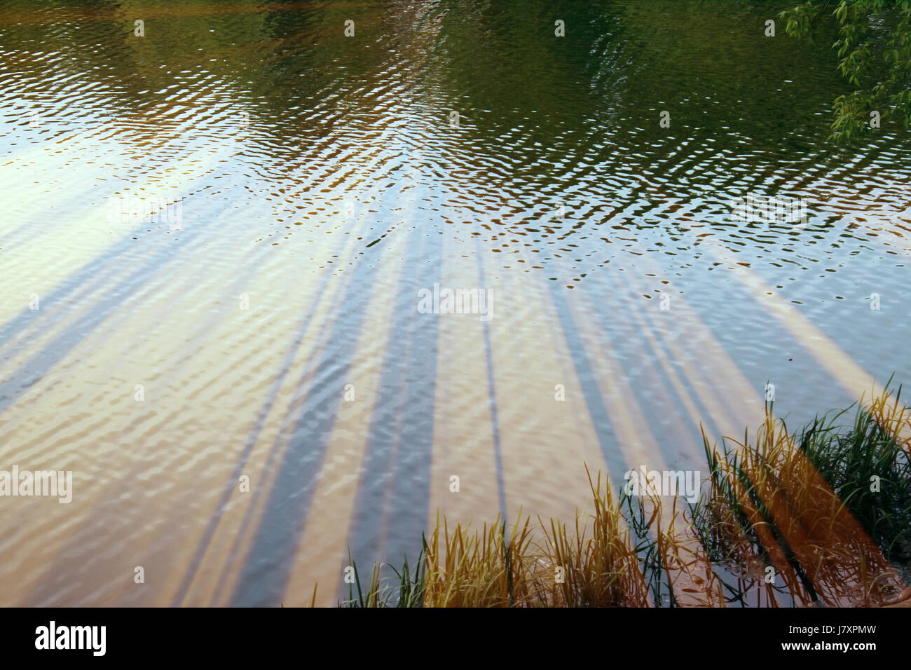 Magic pond. Composition of a pond and rays Stock Photo - Alamy