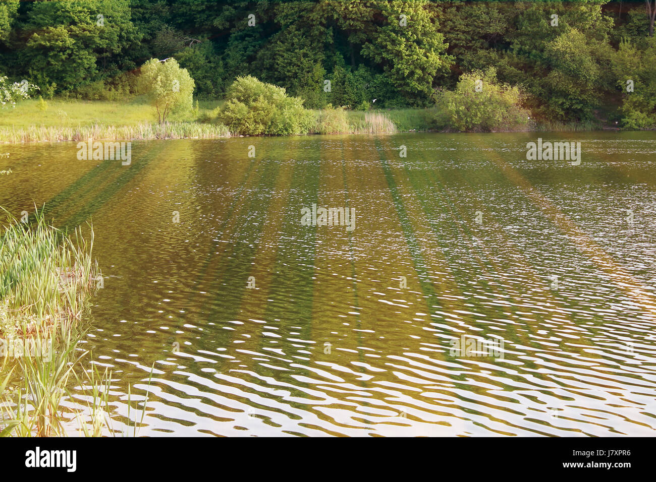 Magic pond. Composition of a pond and rays Stock Photo - Alamy