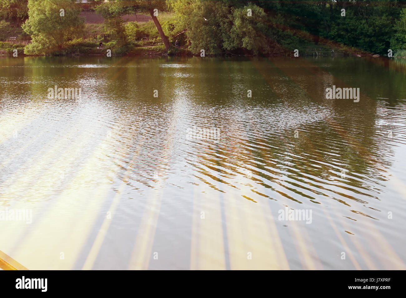 Magic pond. Composition of a pond and rays Stock Photo - Alamy