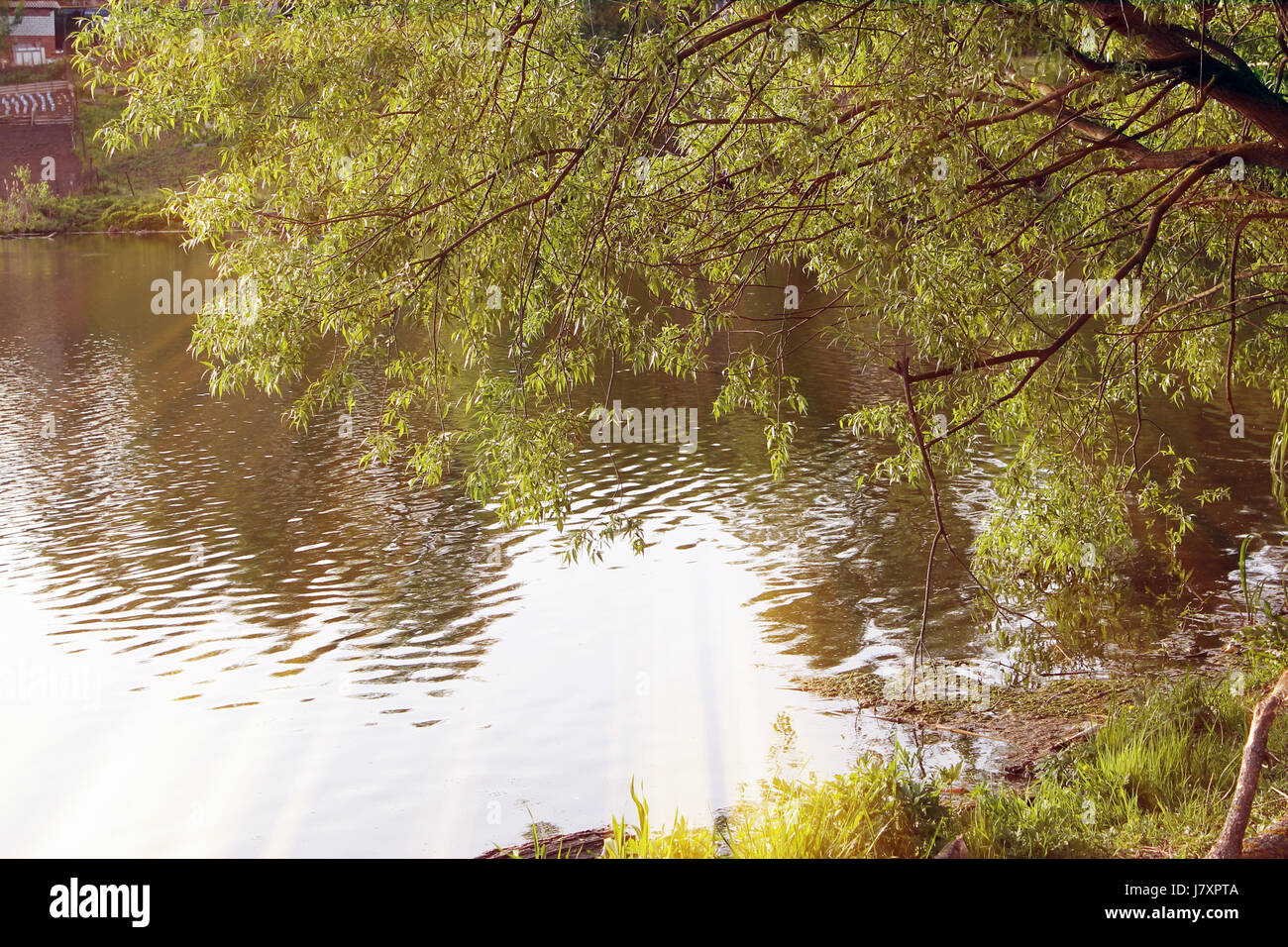 Magic pond. Composition of a pond and rays Stock Photo - Alamy
