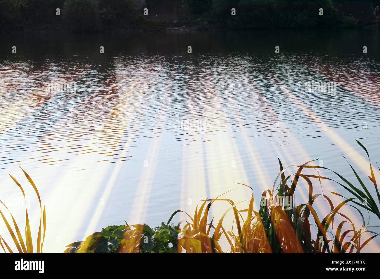 Magic pond. Composition of a pond and rays Stock Photo - Alamy