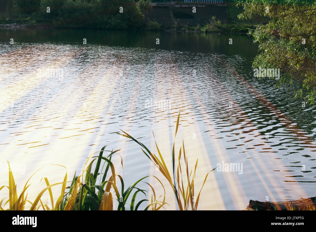 Magic pond. Composition of a pond and rays Stock Photo - Alamy
