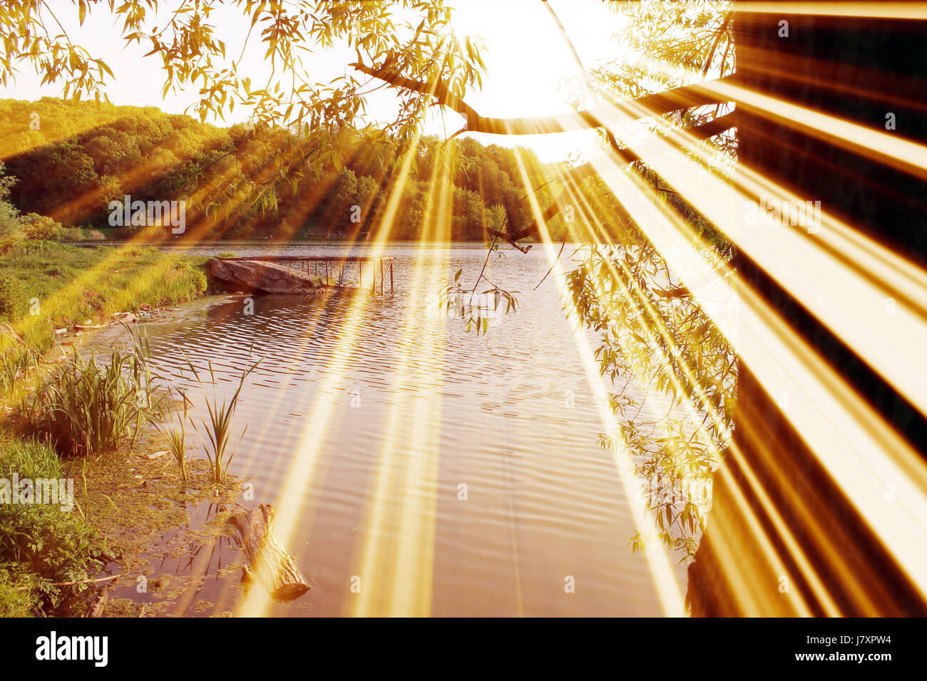 Magic pond. Composition of a pond and rays Stock Photo - Alamy