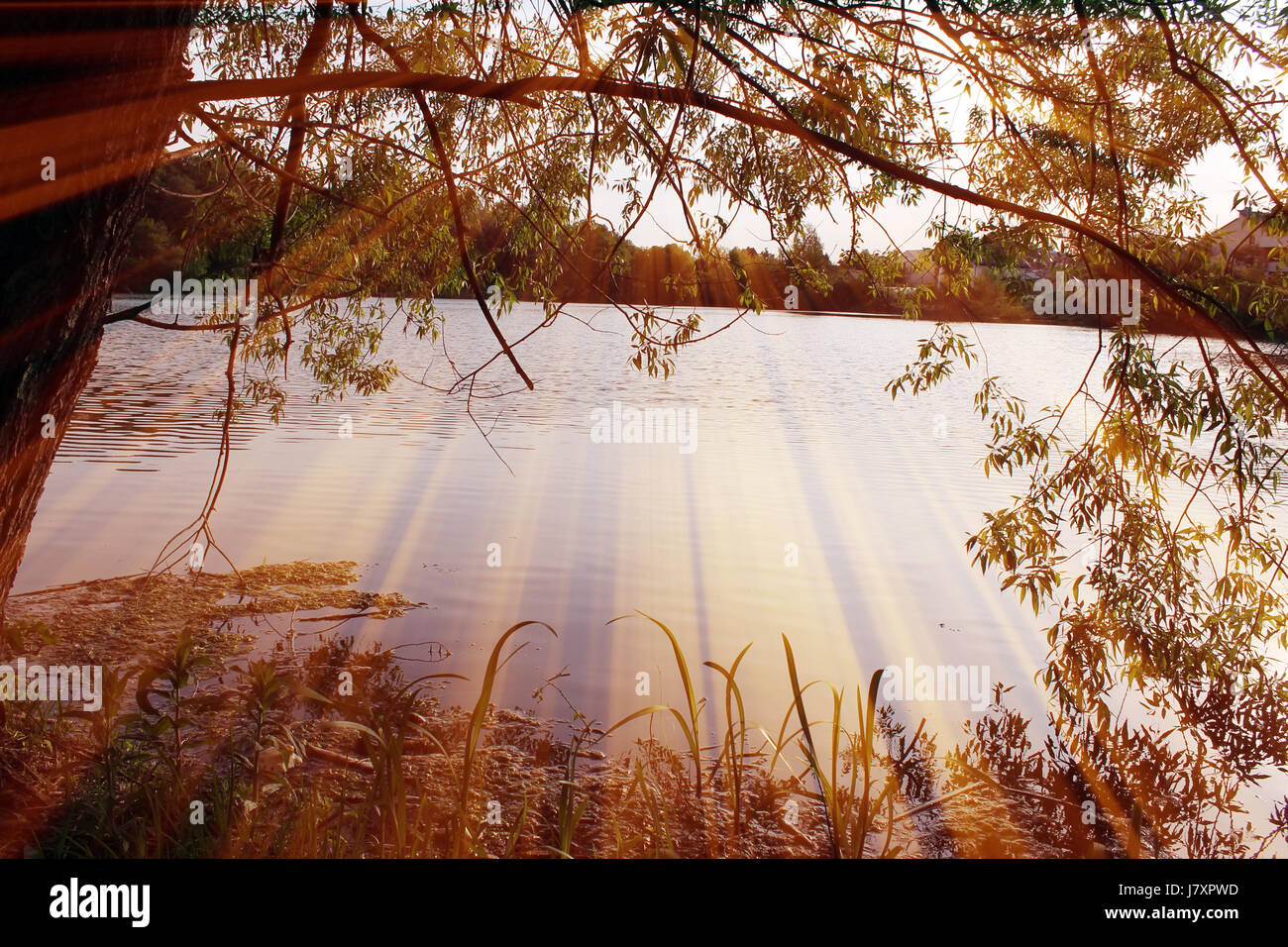 Magic pond. Composition of a pond and rays Stock Photo - Alamy