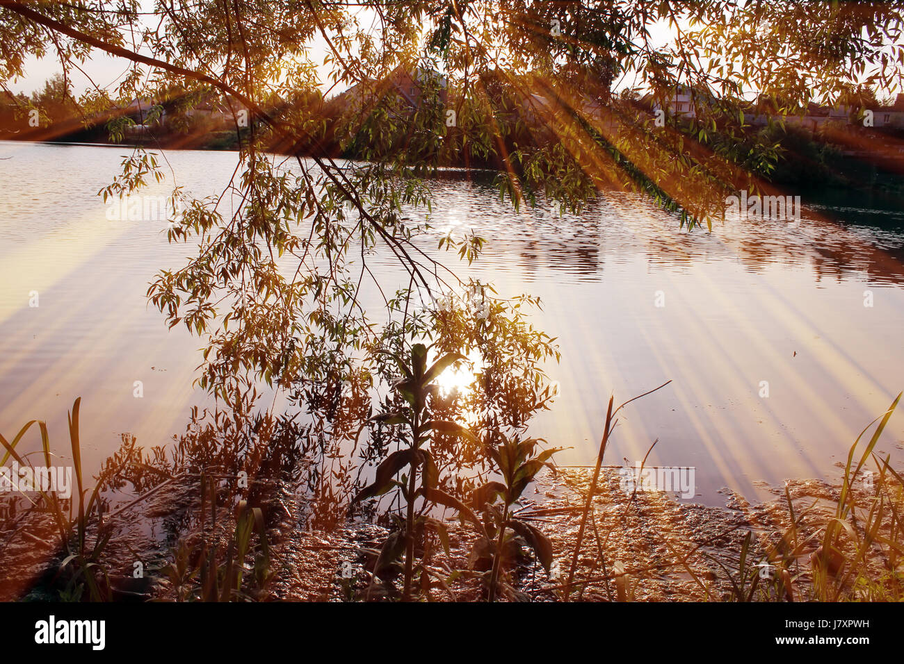 Magic pond. Composition of a pond and rays Stock Photo - Alamy