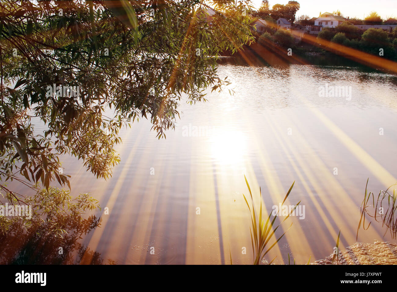 Magic pond. Composition of a pond and rays Stock Photo - Alamy