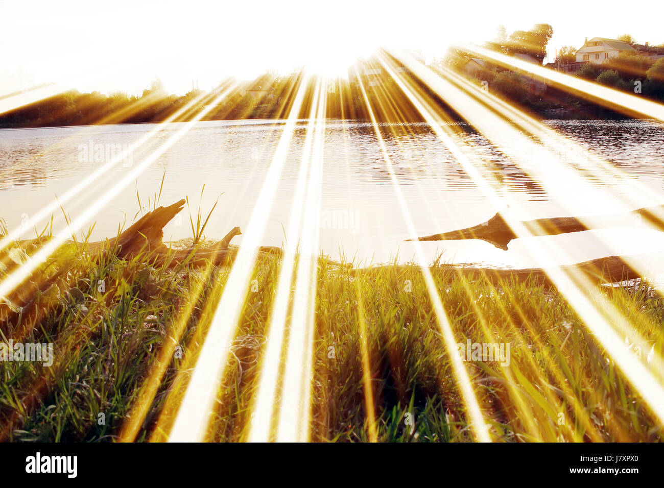 Magic pond. Composition of a pond and rays Stock Photo - Alamy