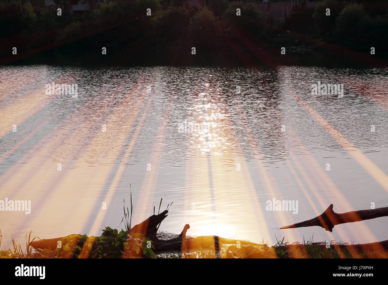 Magic pond. Composition of a pond and rays Stock Photo - Alamy