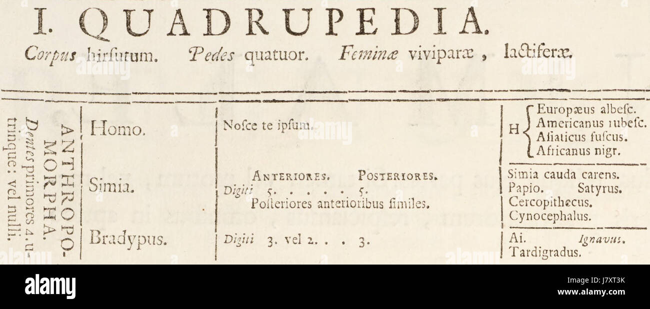 The 'Anthropomorpha' is a section from Carl Linnaeus' *Systema Naturae ...