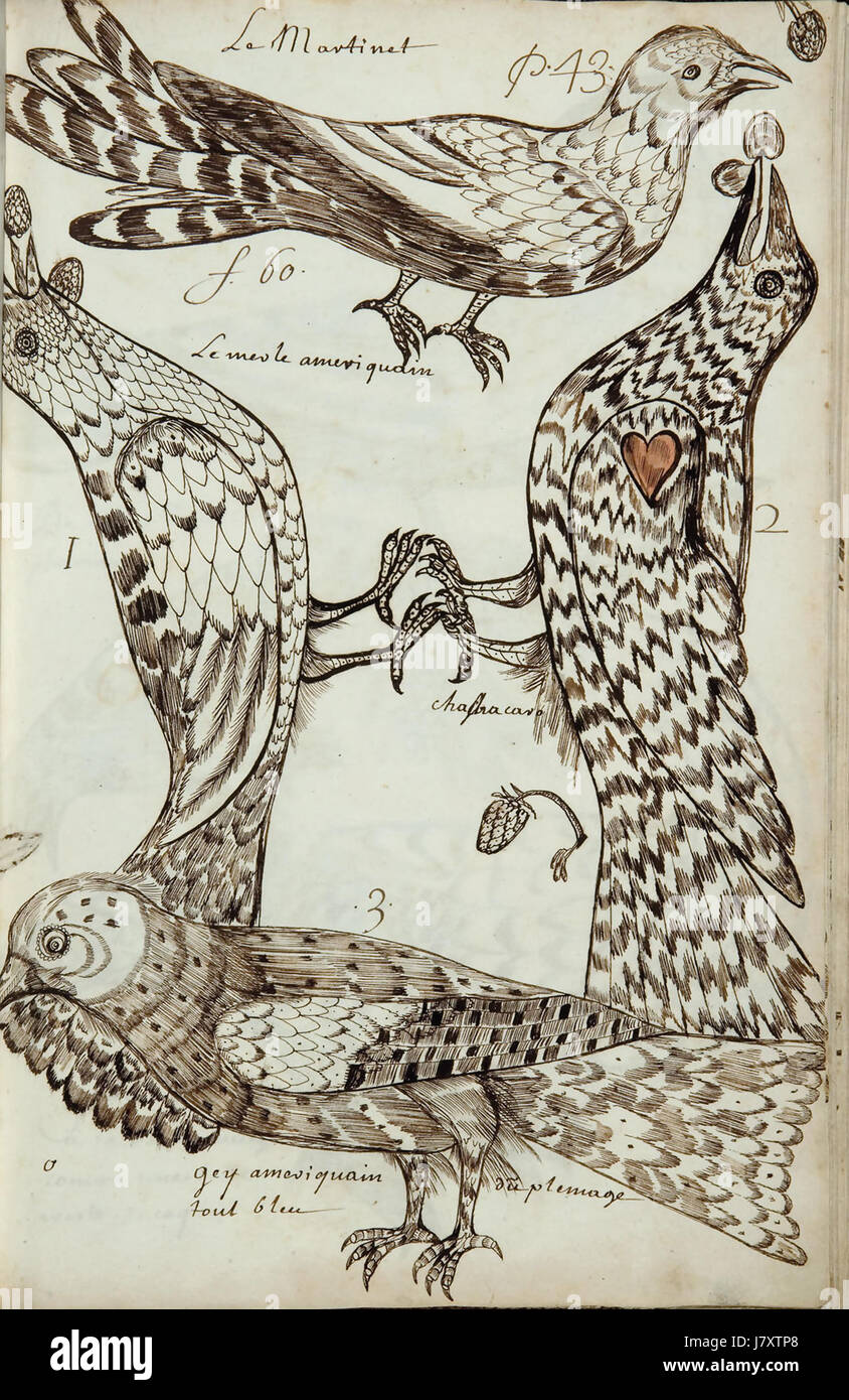 The Codex Canadensis is a collection of manuscripts documenting early ...