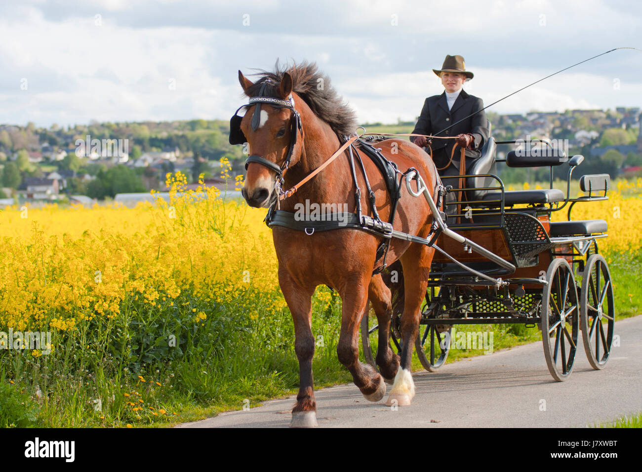 woman profile travel wheel ride horse animal traffic transportation ...
