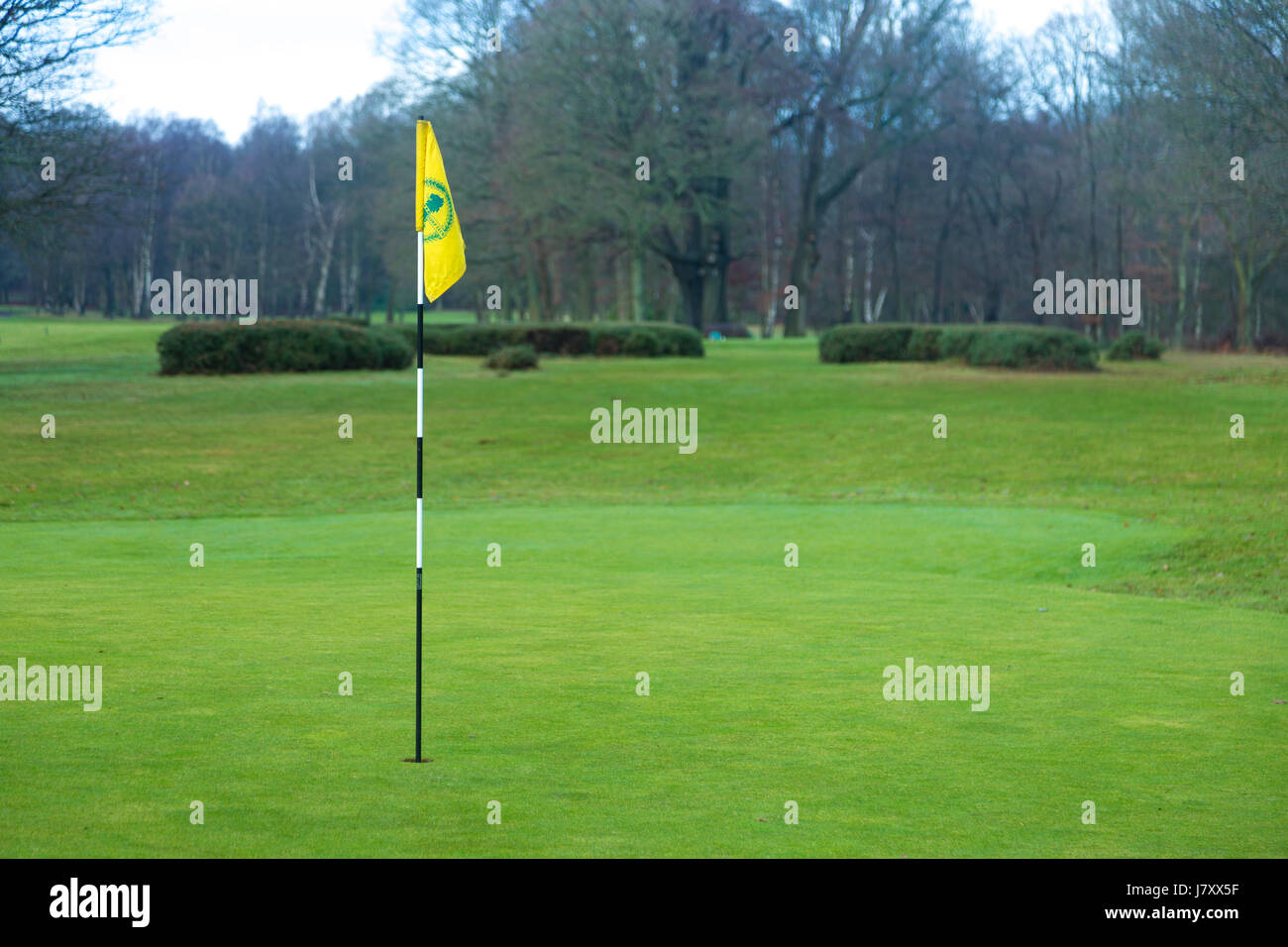 Flag on a golf course Stock Photo - Alamy