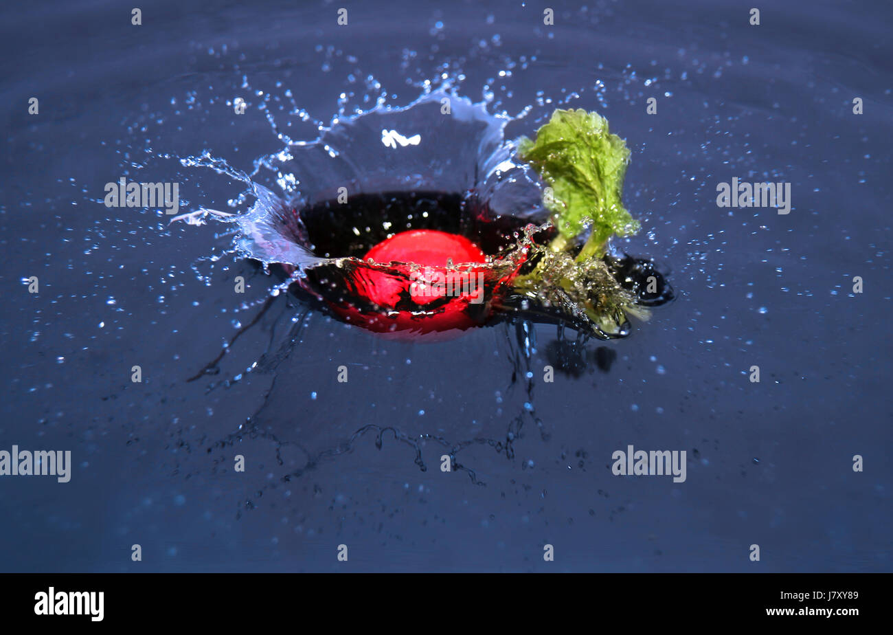 vegetable wash washing dive radish water radishes vegetable wash ...