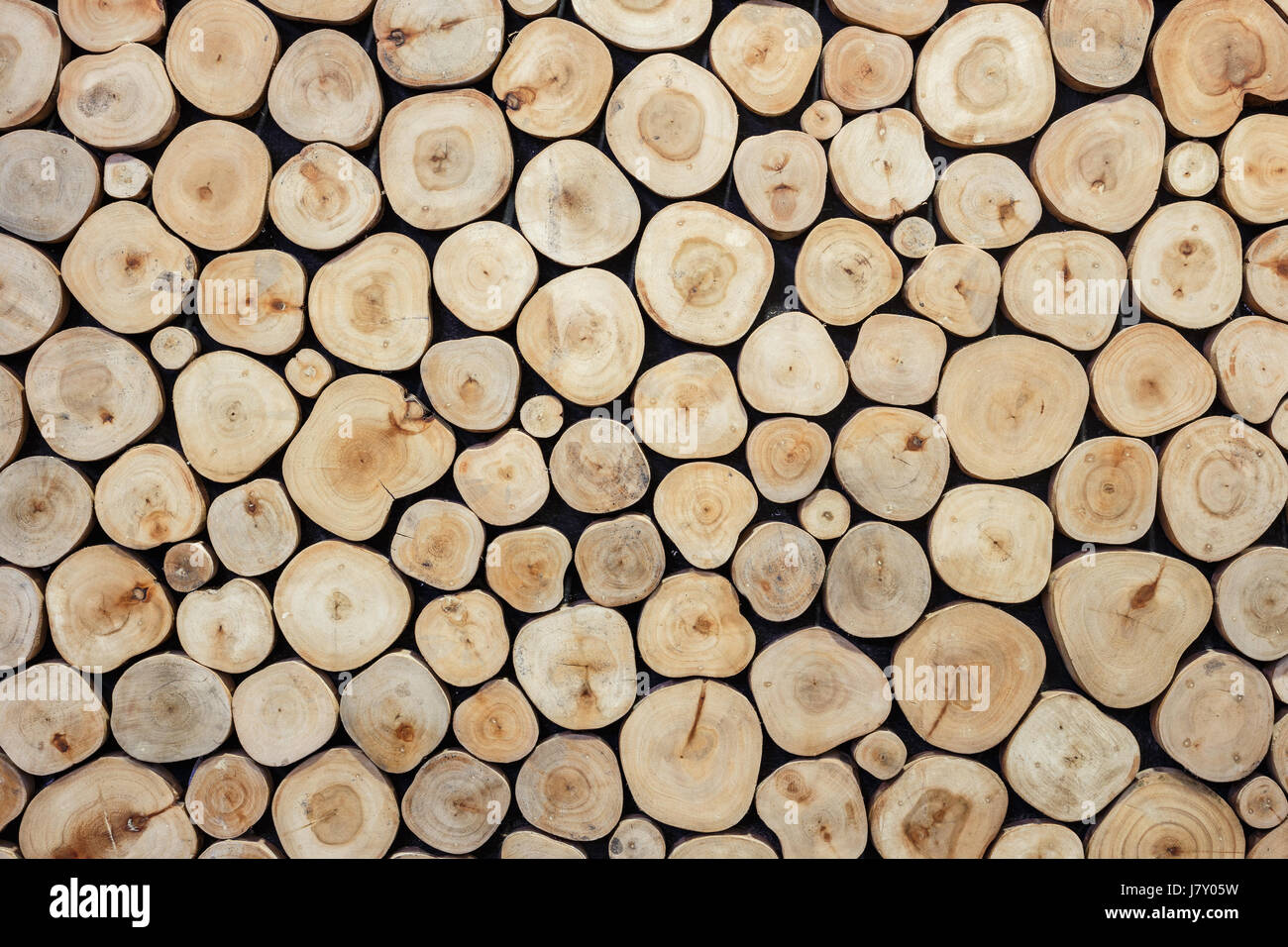 Pattern round wood log texture can use for background. Interior ...