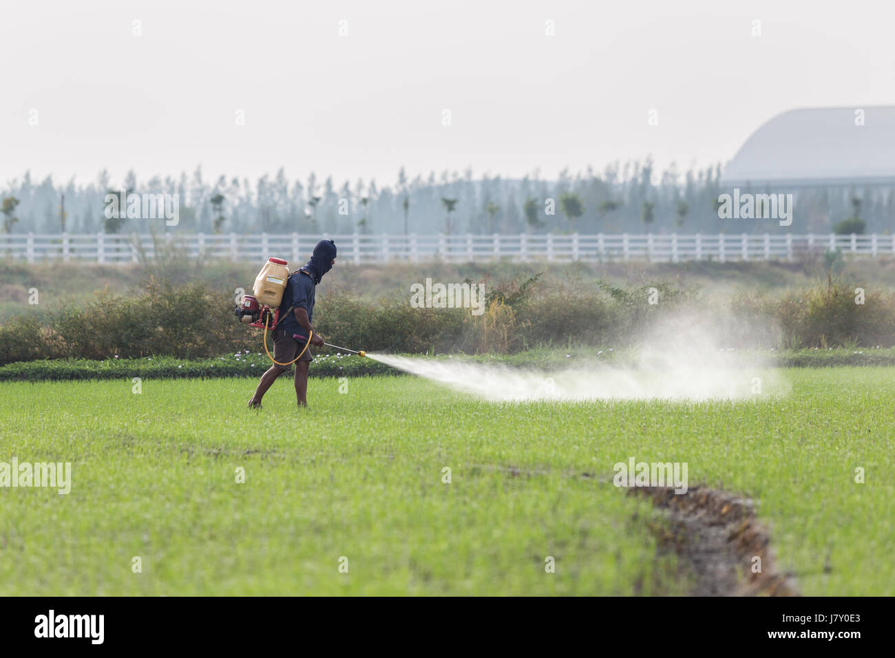 Young man spraying pesticide hi-res stock photography and images - Alamy