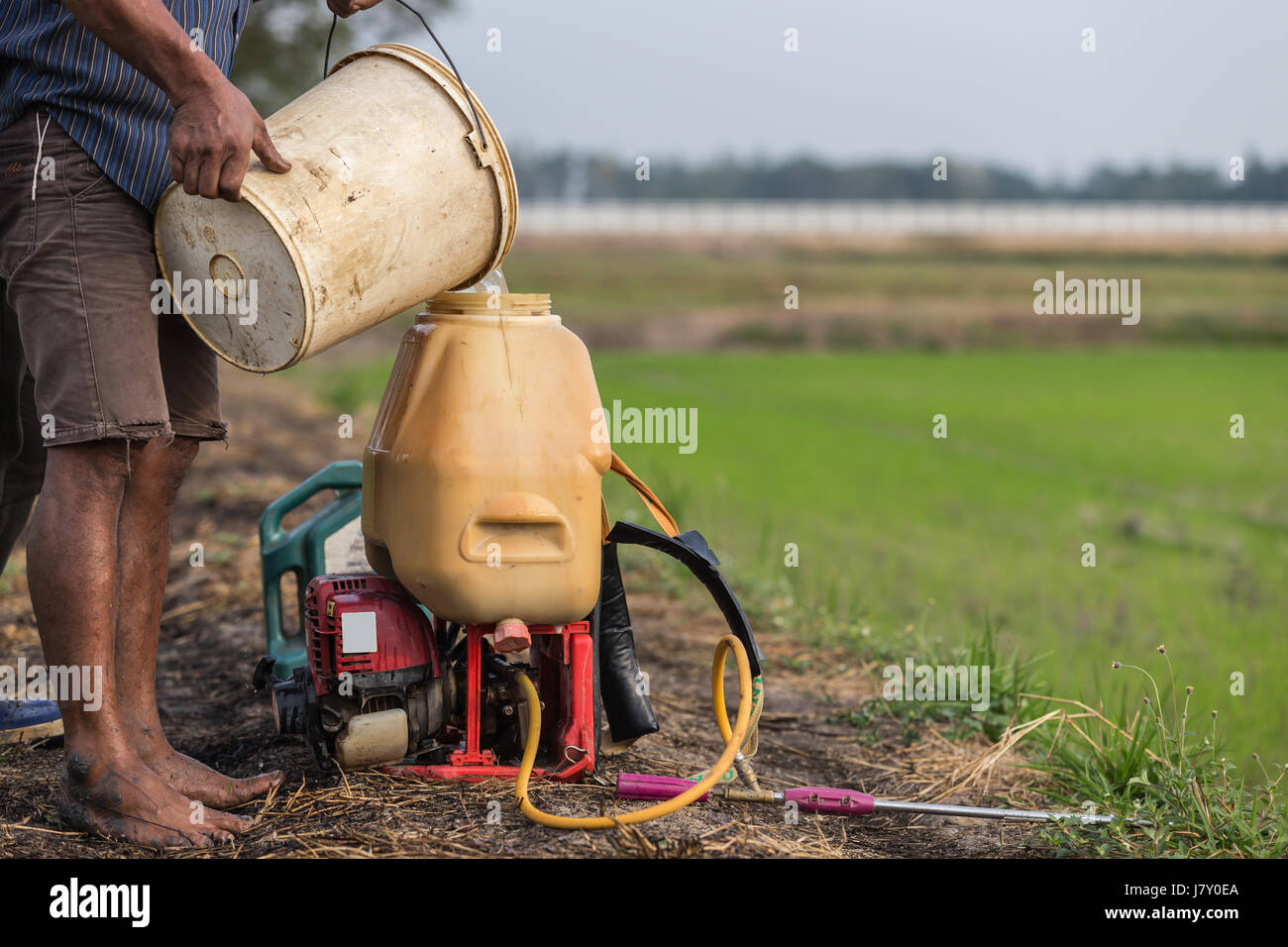 Thai farmer prepare chemical to sprayer tank before spray to green ...