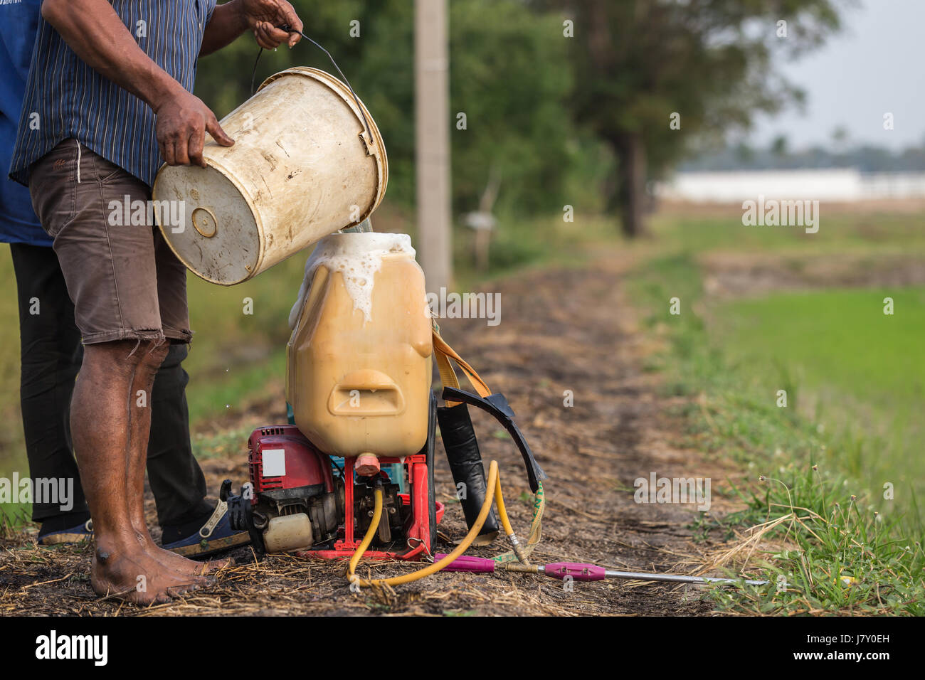Thai farmer prepare chemical to sprayer tank before spray to green ...