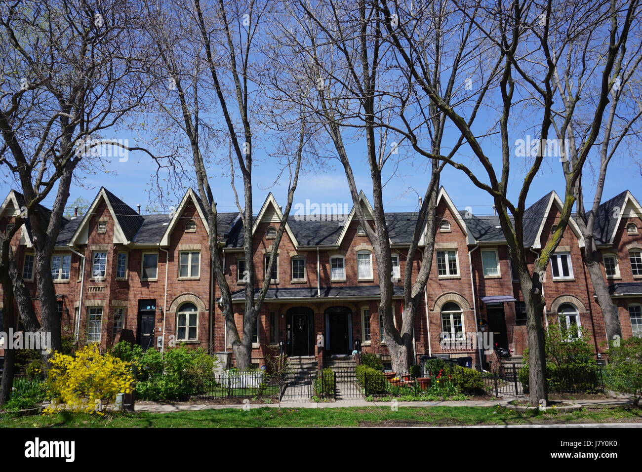 Toronto downtown school hi-res stock photography and images - Alamy