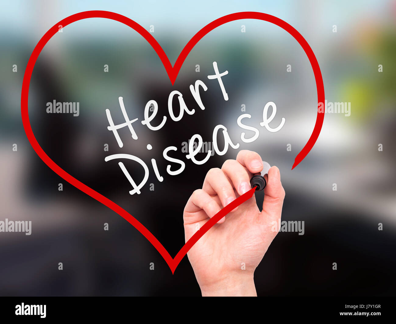 Man Hand writing Heart Disease with marker on transparent wipe board ...